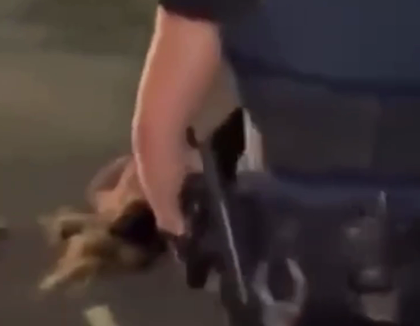 Fransa polisi etirazçı qadını qaldırıb yerə çırpdı - ŞOK VİDEO